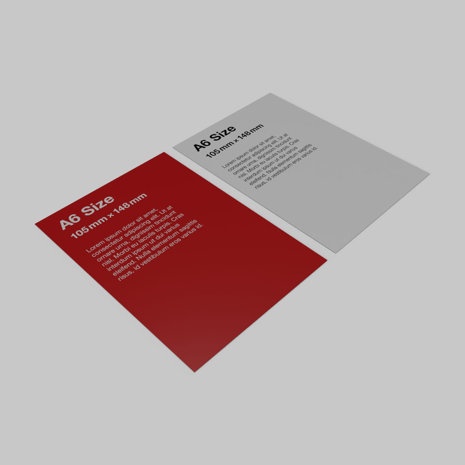 A6 Leaflets – Rollupbanner